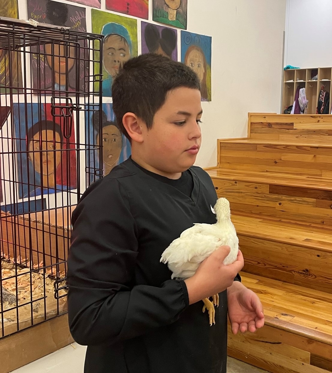 What comes first, the chicken or the egg? Clearly, it's the egg ...